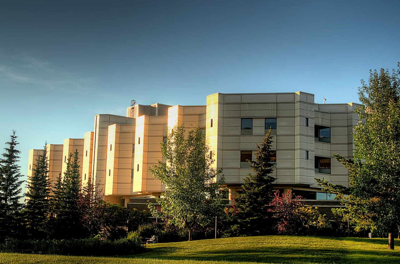 About – Company – Occupational Therapy and Rehabilitation Edmonton